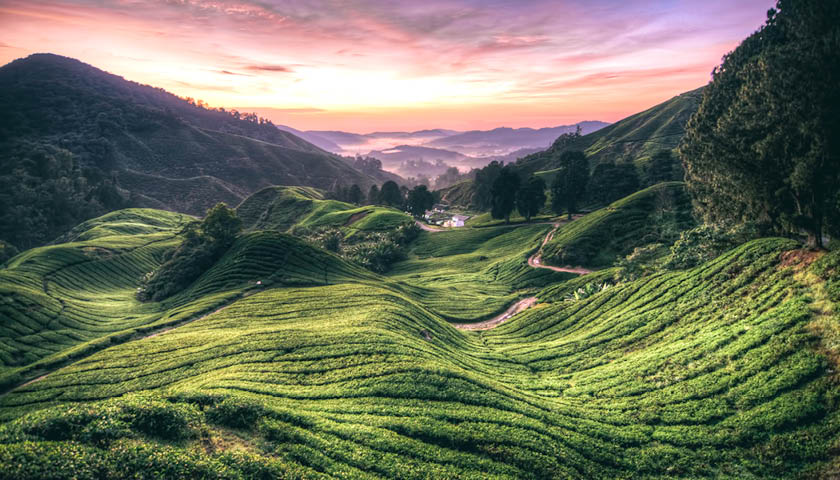 5 cold places to head to in Southeast Asia