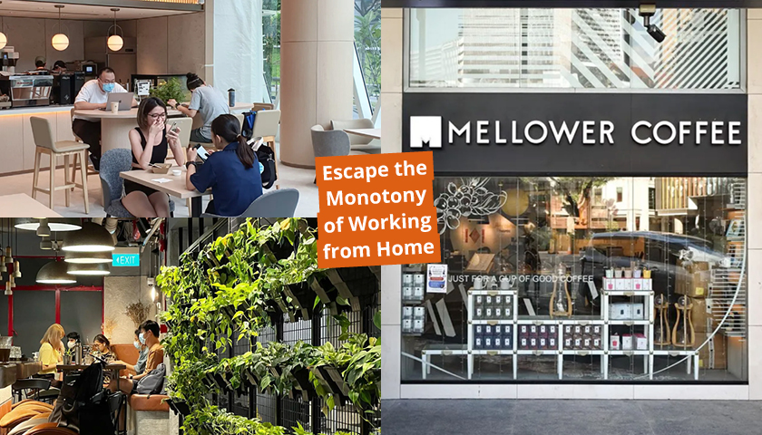 Working From Anywhere? Check Out These Work-Friendly Cafes For Better ...